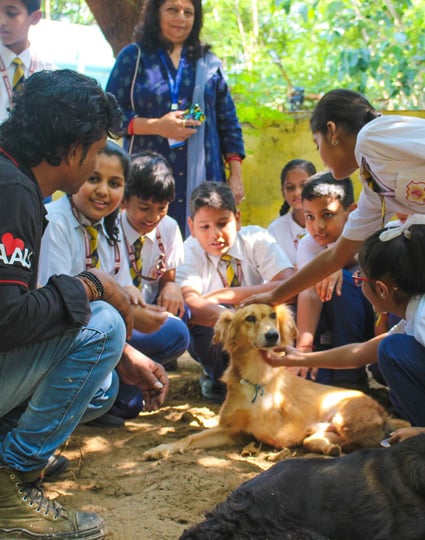 Outreach and education - Help injured animals in Udaipur - Animal Aid ...