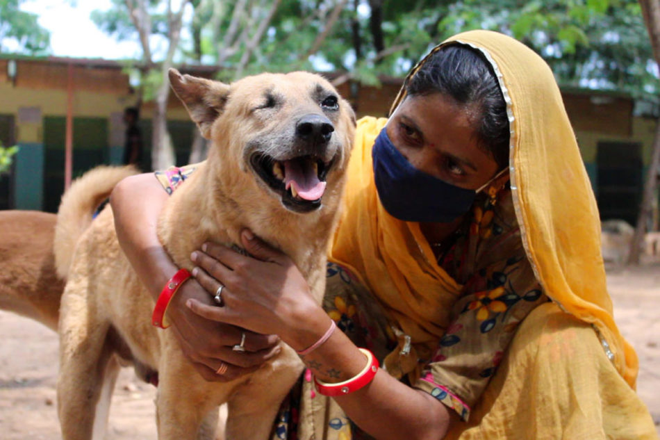 Sponsor an animal - Support a special needs animal - Animal Aid Unlimited