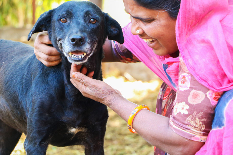 Adopt - Adopt a resuced animal in India - Animal Aid Unlimited